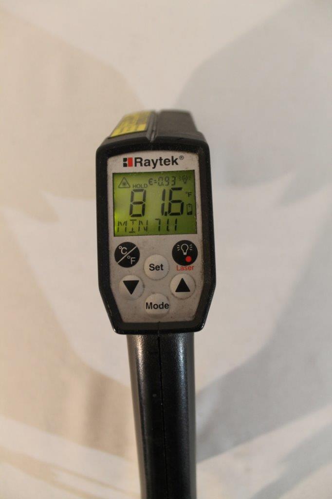 Raytek Raynger ST Infrared Thermometer Gun with Hard Case | Chicago ...